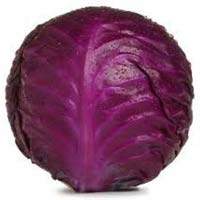 Welcome to Jamal Lebanan Co | Doha - Qatar